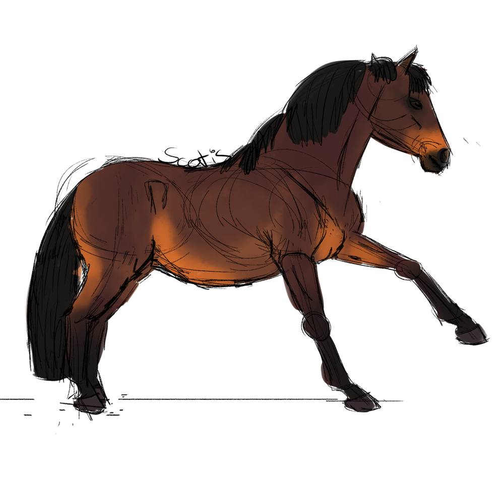 Un jour, un cheval. Le challenge des 100 sketch de chevaux par Scotis ...